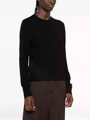 Pinko Lourdes Crew-neck Sweater