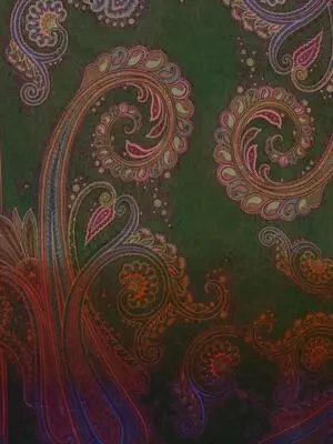 Etro Paisley-print Scarf