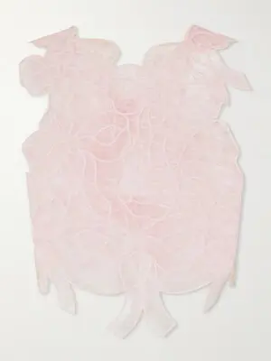 Cecilie Bahnsen Aya Embroidered Crinkled Organza Top