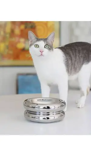 CATENARY HOME Elevated Halo Pet Bowl In Metallic Silver