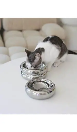 CATENARY HOME Elevated Halo Pet Bowl In Metallic Silver