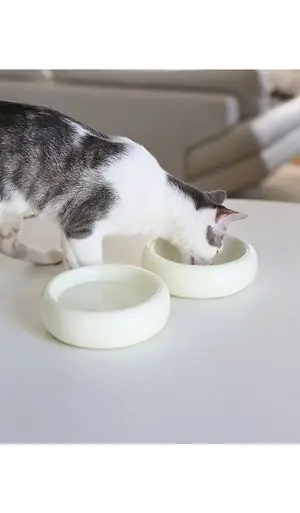 CATENARY HOME Halo Pet Bowl