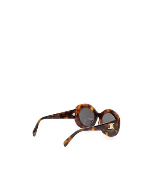 Celine Triomphe 14 Sunglasses In Acetate