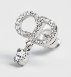 Dior Cd Signature Earrings