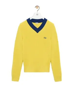 Loewe Long-sleeved Sweater - Yellow/blue