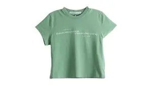Alexander Wang Mirrored Logo Print Shrunken Tee Shirt - Washed Sage