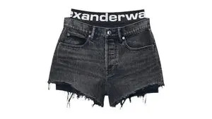 Alexander Wang Logo Bike Short Prestyled Relaxed Shorts - Grey Aged