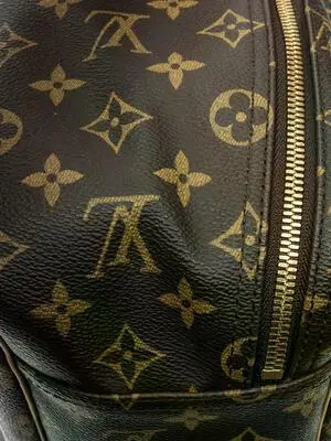 LOUIS VUITTON Excursion Monogram Tote Bag