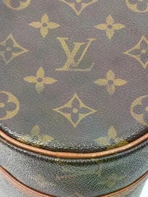 LOUIS VUITTON Papillon 26 Luggage - Brown