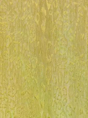 Dior 2000s Fringed Scarf