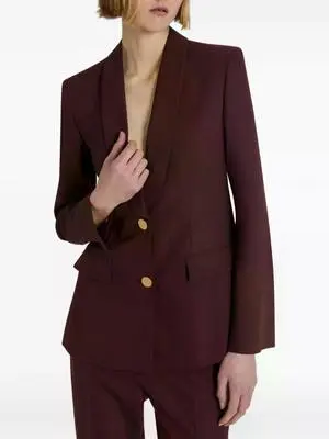 Alberta Ferretti Shawl-lapel Button-up Blazer