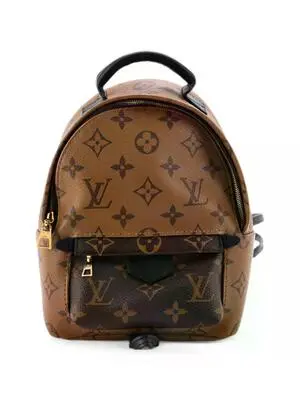 LOUIS VUITTON Palm Springs Mini Backpack - Brown