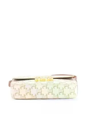 Celine Triomphe East-west Shoulder Bag - Neutrals