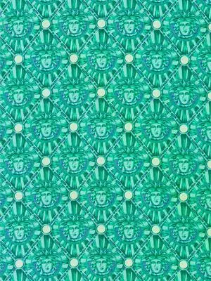 Versace 2000s Medusa-head Flag-print Scarf - Green