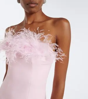 Safiyaa Feather-trimmed Gown