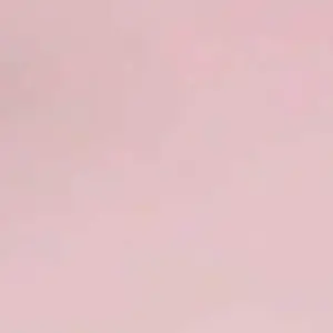 Amina Muaddi Janis Heeled Sandals - Pink