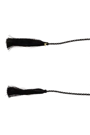 FORTE_FORTE Braided Belt With Shimmering Crystals