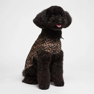 Fendi Dog Coat
