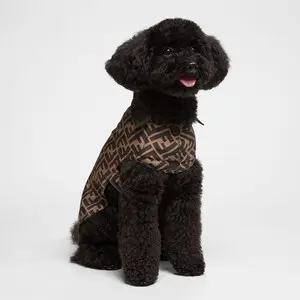 Fendi Dog Coat