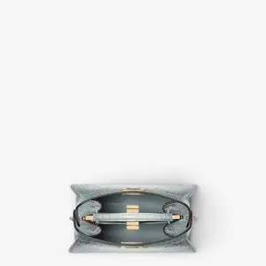 Fendi Peekaboo Iseeu Petite