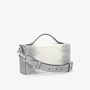 Fendi Baguette Soft Trunk