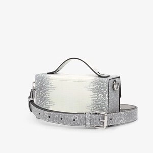 Fendi Baguette Soft Trunk