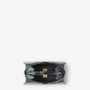 Fendi Peekaboo Iseeu Petite