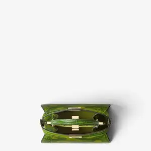 Fendi Peekaboo Iseeu Petite