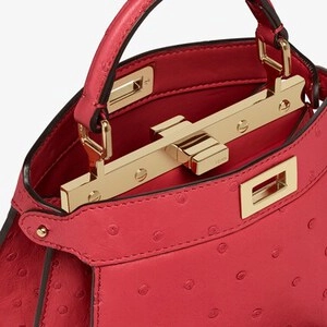 Fendi Peekaboo Iseeu Petite
