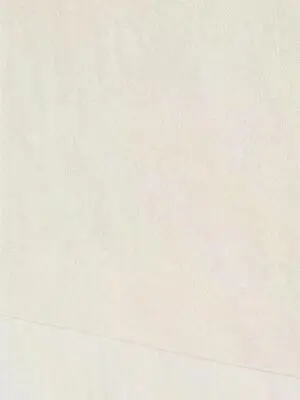 Fabiana Filippi V-neck Sleeveless Blouse - White
