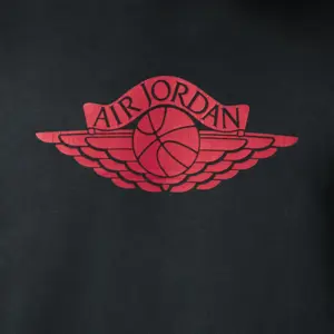 JORDAN Flight Wings Fleece Pullover Hoodie