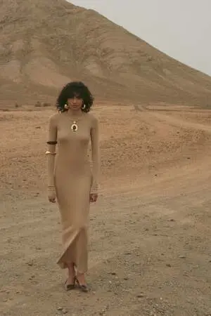 SAME Shimmer Mockneck Dress