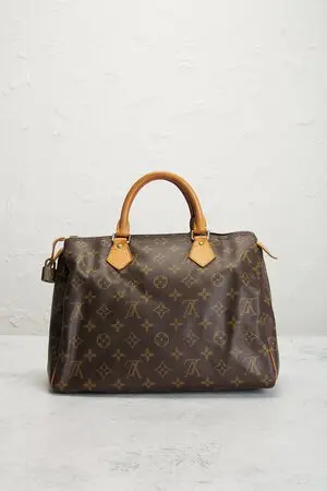 LOUIS VUITTON Monogram Speedy 30 Handbag - Brown