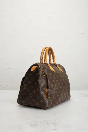 LOUIS VUITTON Monogram Speedy 30 Handbag - Brown