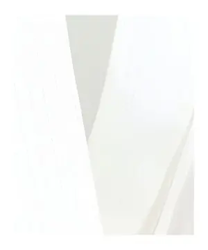 Elisabetta Franchi Collared Bodysuit