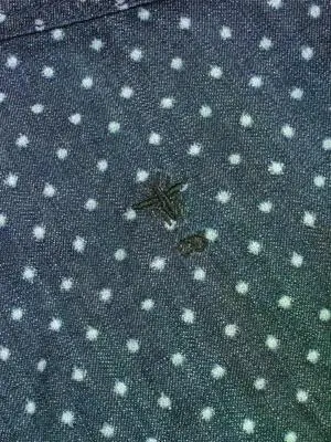 Dior 2010s Bee Embroidered Dot-pattern Denim Shirt