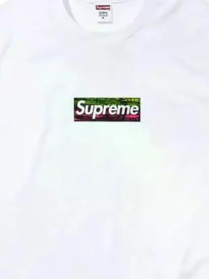 Supreme Box Logo T-shirt