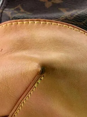 LOUIS VUITTON Monogram Canvas Berri Pm Hobo Bag