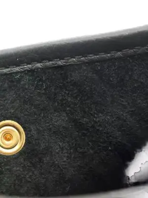 Hermès Tpm Evelyn Amazon Shoulder Bag