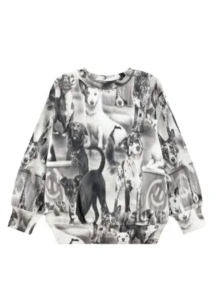 MOLO Sweatshirt With Dogs "mattis - Brown