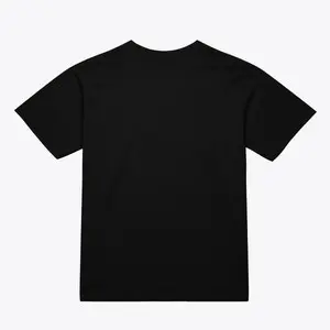 Mitchell & Ness Boston Celtics Champions Era T-shirt