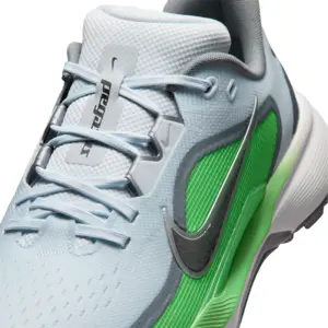Nike Pegasus 1 G Golf Shoes