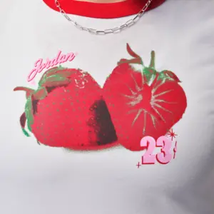 JORDAN Ringer T-shirt