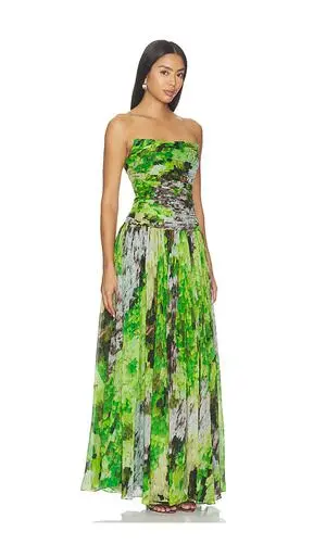 LA FUORI Fairy Fern Draped Maxi Dress - Printed