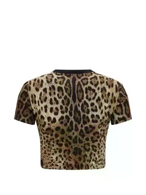 Dolce & Gabbana Leopard-print T-shirt - Brown