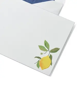 Smythson Lemon Correspondence Set