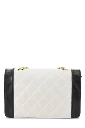 Chanel Multicolor Lambskin Classic Flap Medium