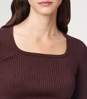 ALLSAINTS Cruz Hally Ribbed Corset Top - Brown
