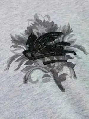 Etro Short-sleeves T-shirt