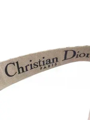 Dior Oblique Canvas Shoulder Strap